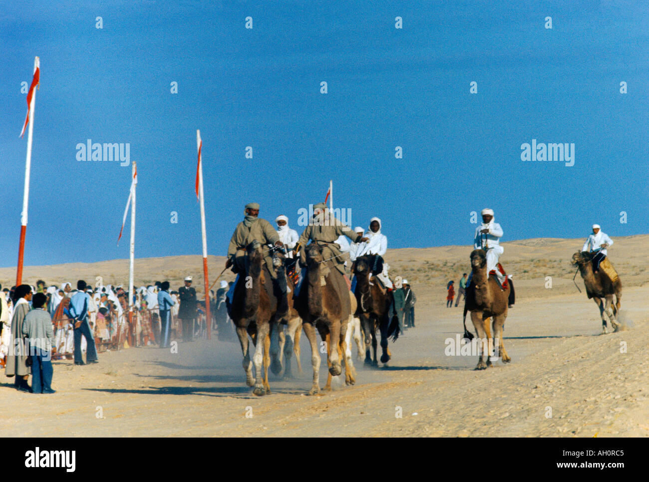 Saudi Arabia Camel Racing Stock Photo - Alamy