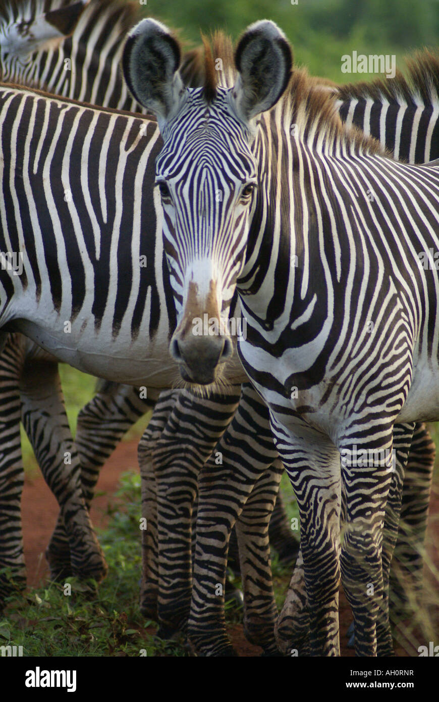 2 bodies hi-res stock photography and images - Alamy