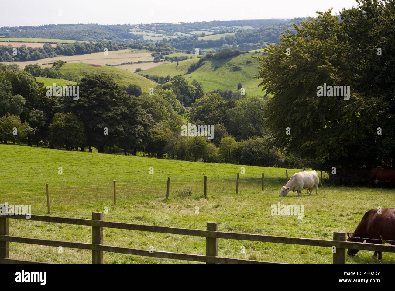 Rolling landscape viewed from the Cotswold village of Cold Ashton ...
