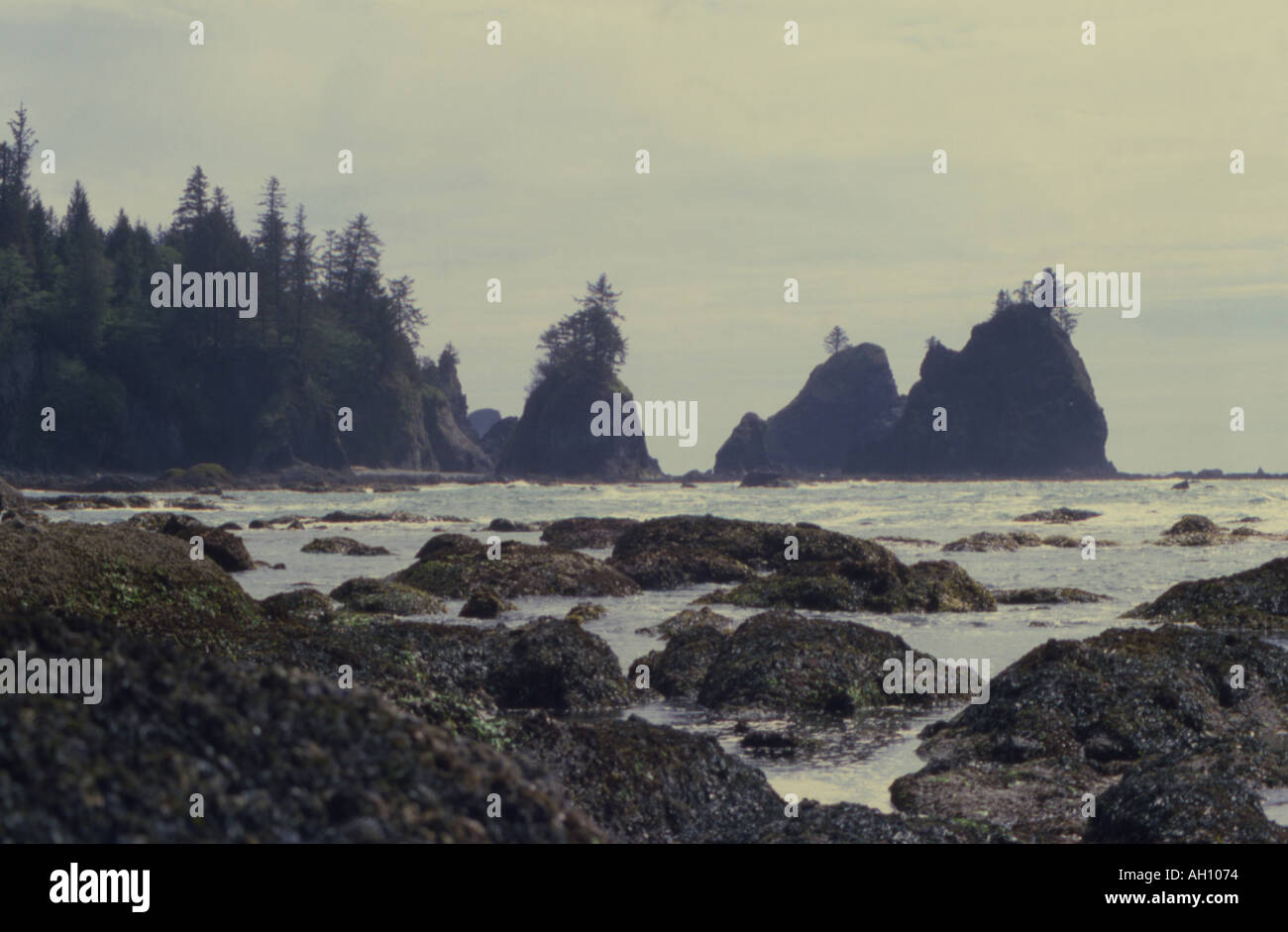 Tide pools, seastacks and headlands line Washington State's Olympic ...