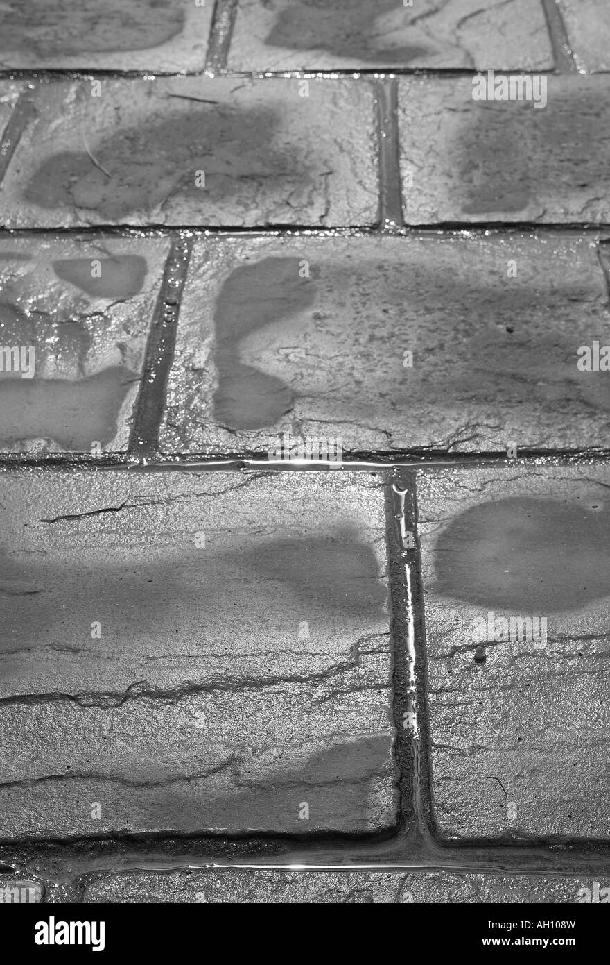 wet patio stones cropped to make a pleasing shape highlighted by the ...