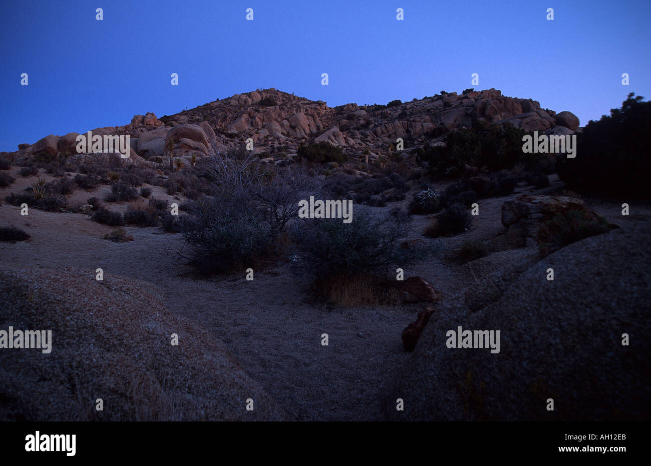 Completely gone hi-res stock photography and images - Alamy