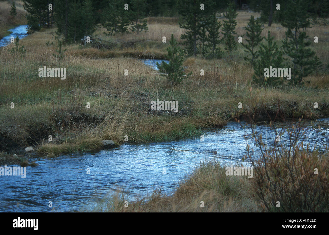 River path Stock Photo - Alamy