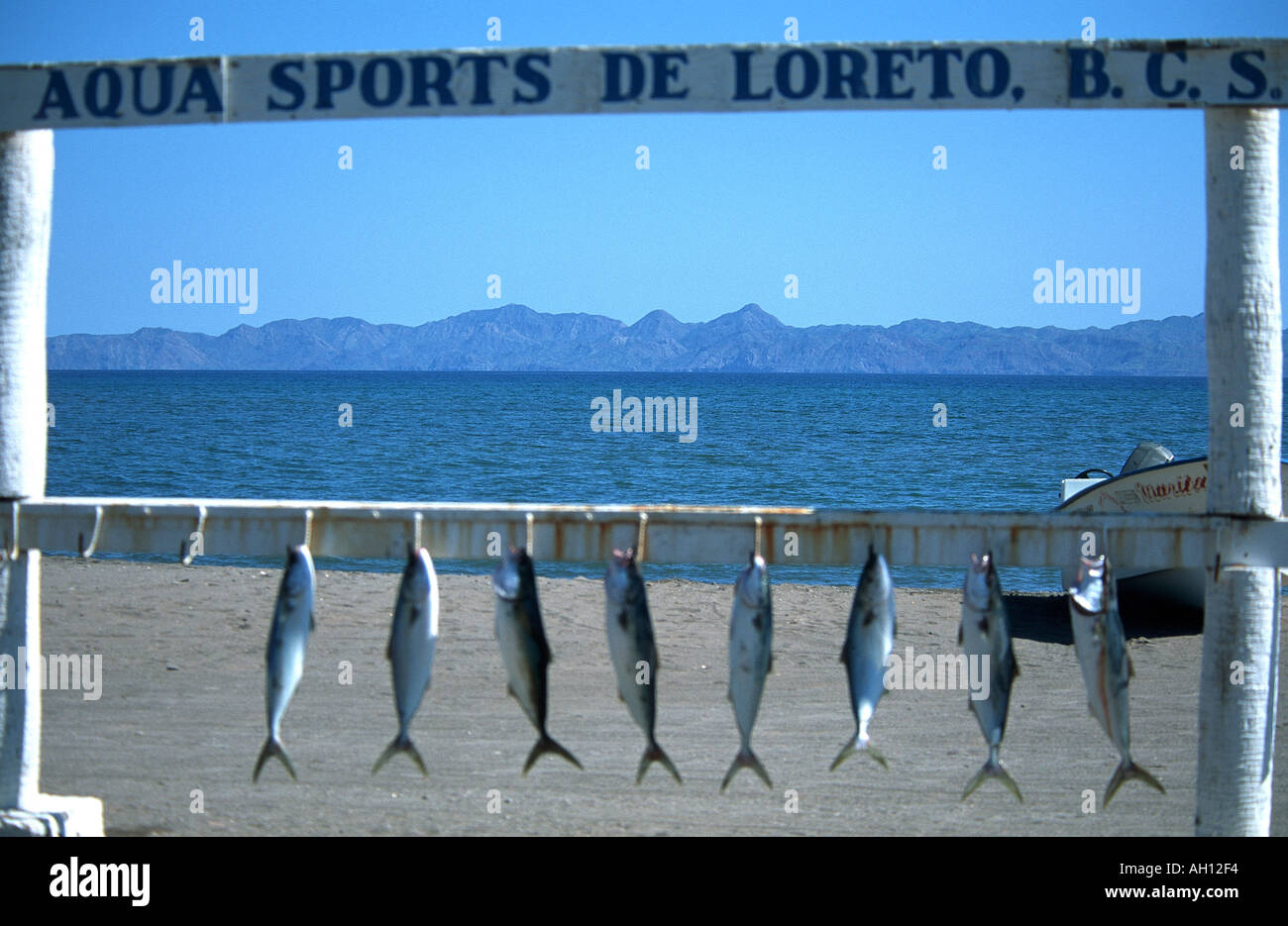 Baja California fresh fish Stock Photo - Alamy