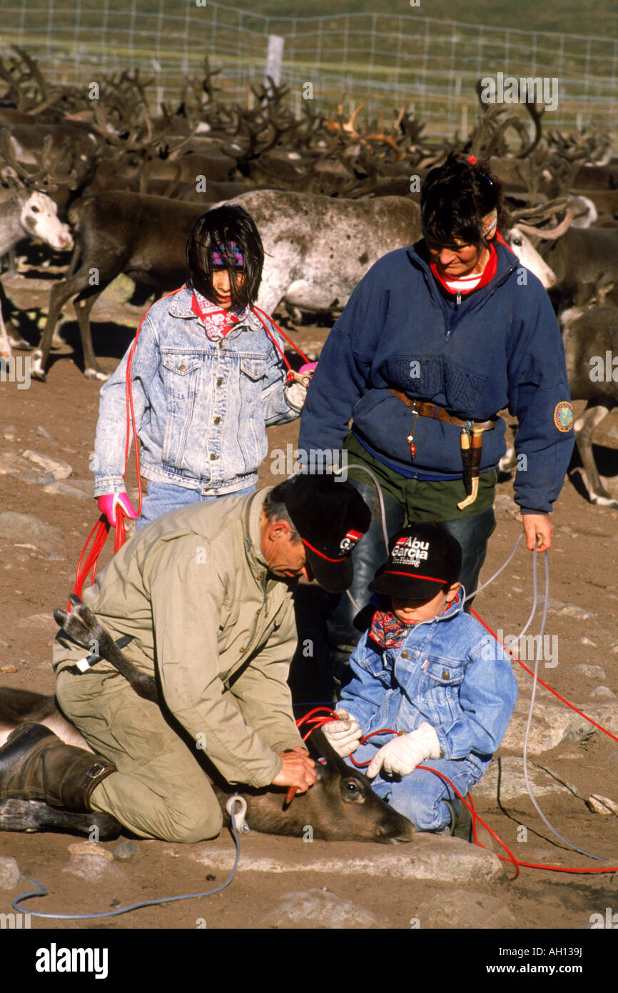 Samii hi-res stock photography and images - Alamy