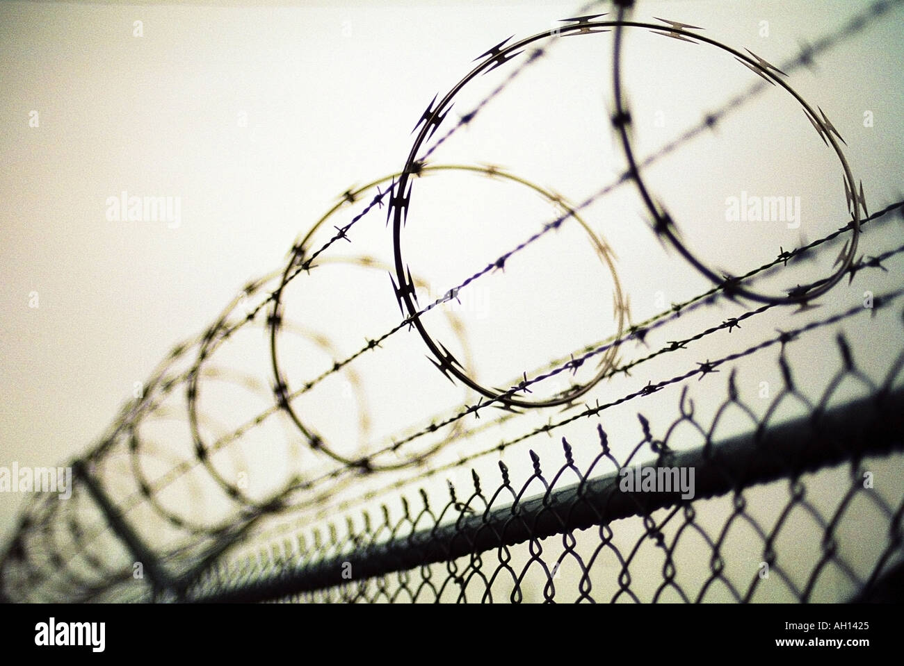 Razor wire security fence Stock Photo - Alamy