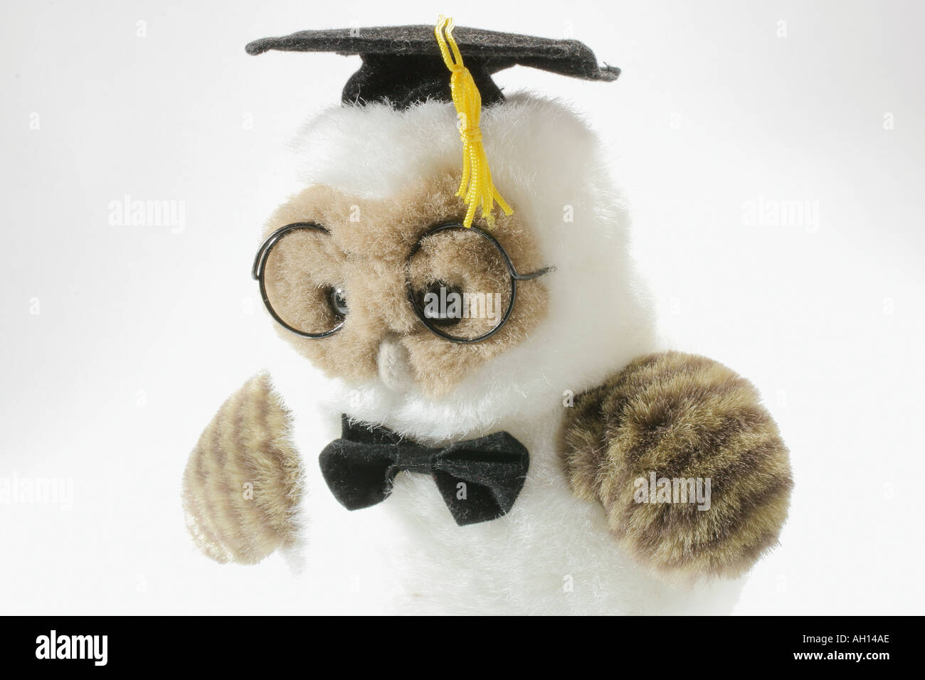 Graduation Soft Toy Owl Stock Photo - Alamy