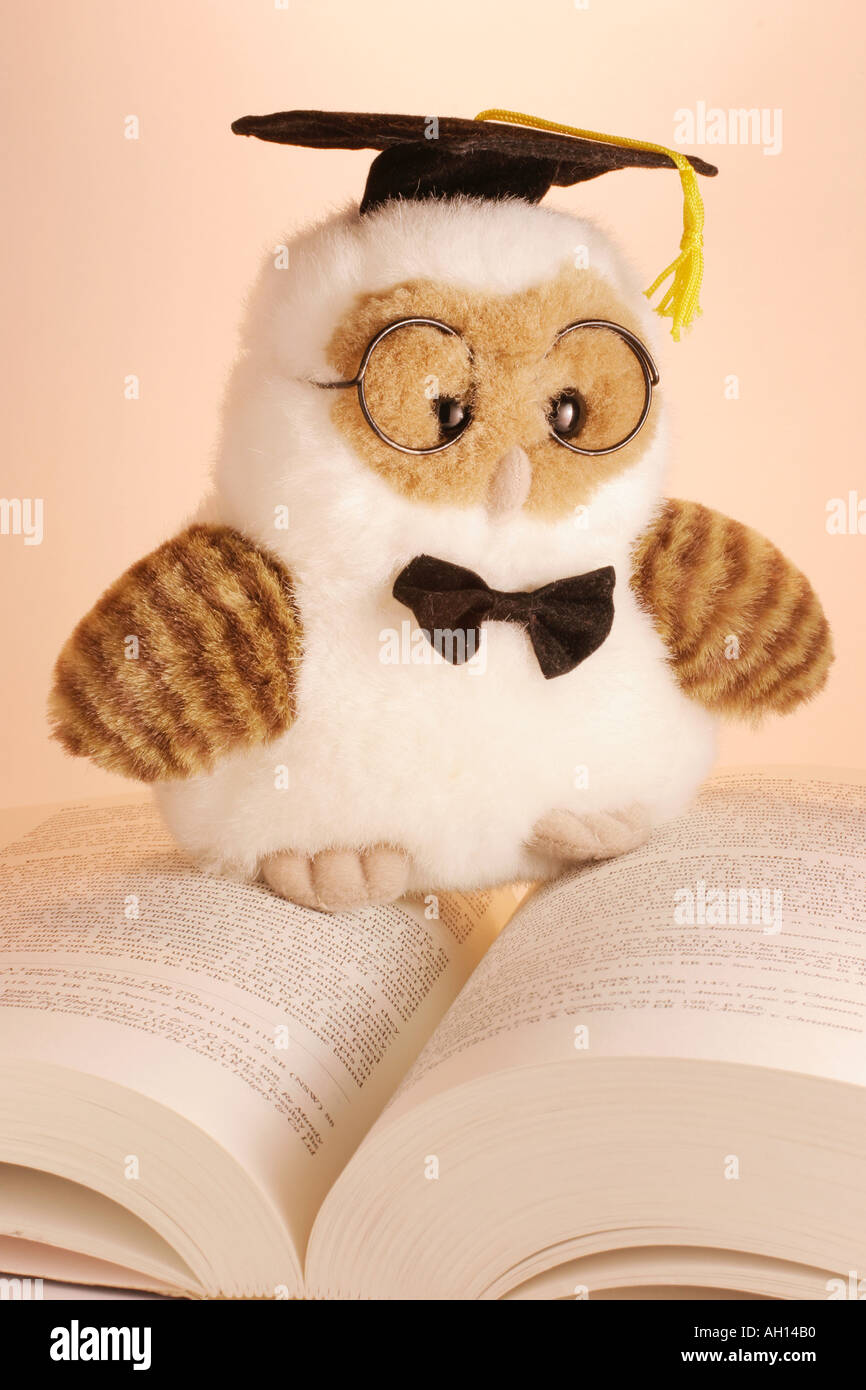 Graduation Soft Toy Owl and Book Stock Photo - Alamy