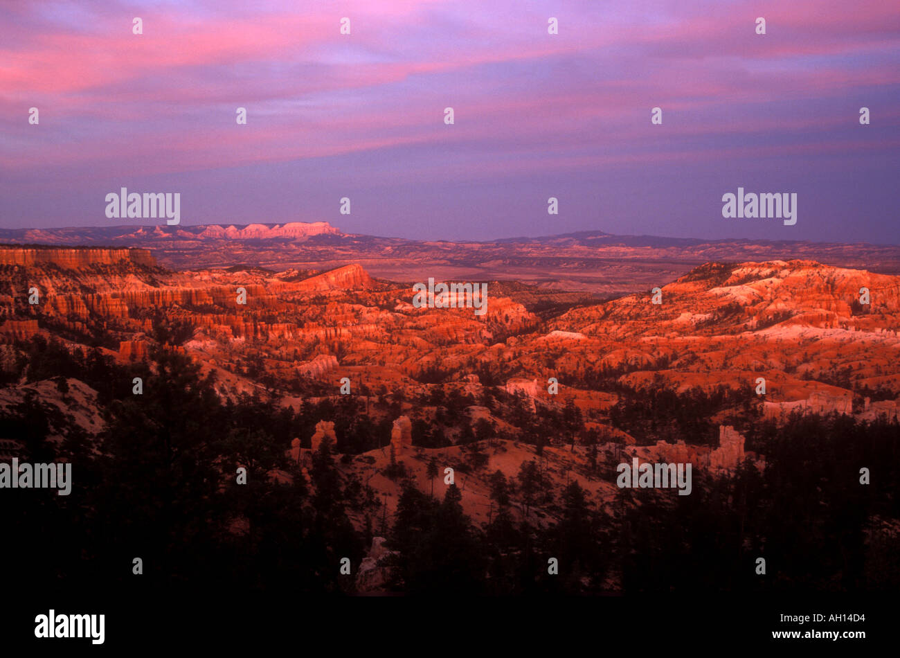 Bryce Canyon National Park Utah taken at sunset from Sunrise Point USA ...
