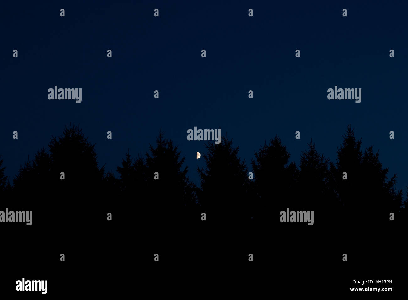 Moon and night hi-res stock photography and images - Alamy