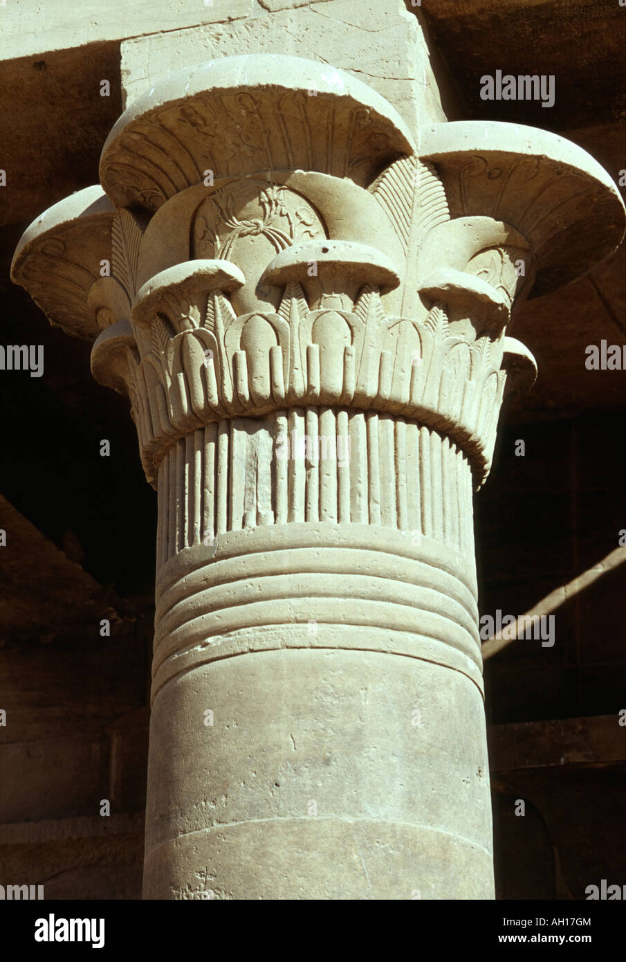 Column with papyrus capitals forming part of the First Eastern ...