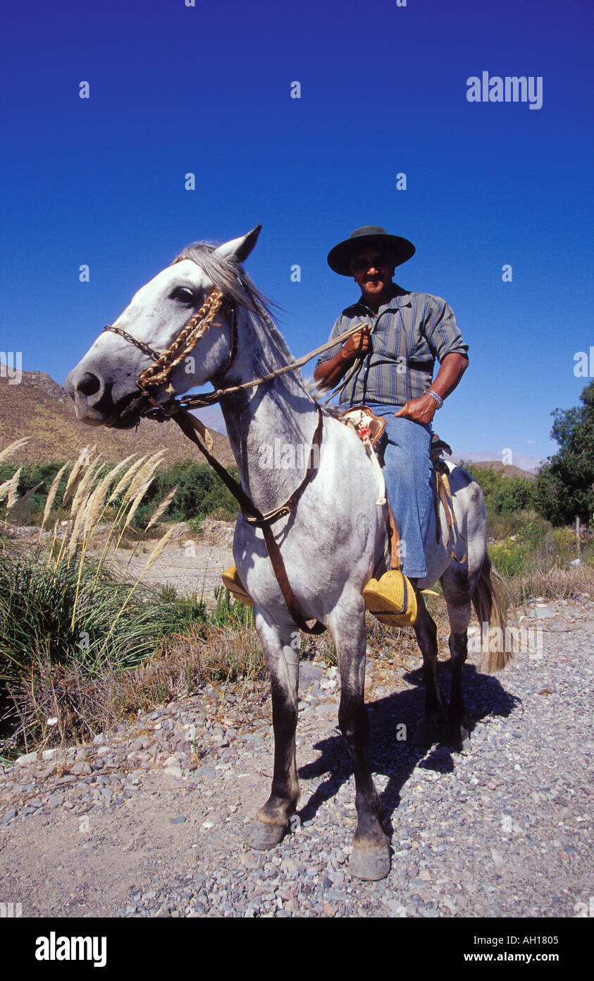 South America North Chile Man rides a horse in the vast plains of Norte ...