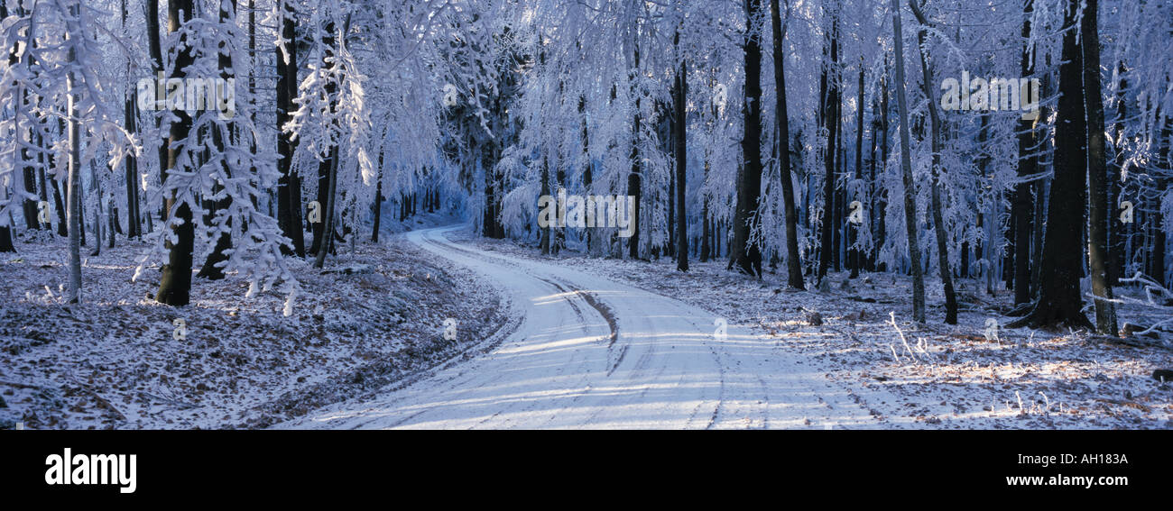 Road through a forest in winter Stock Photo - Alamy