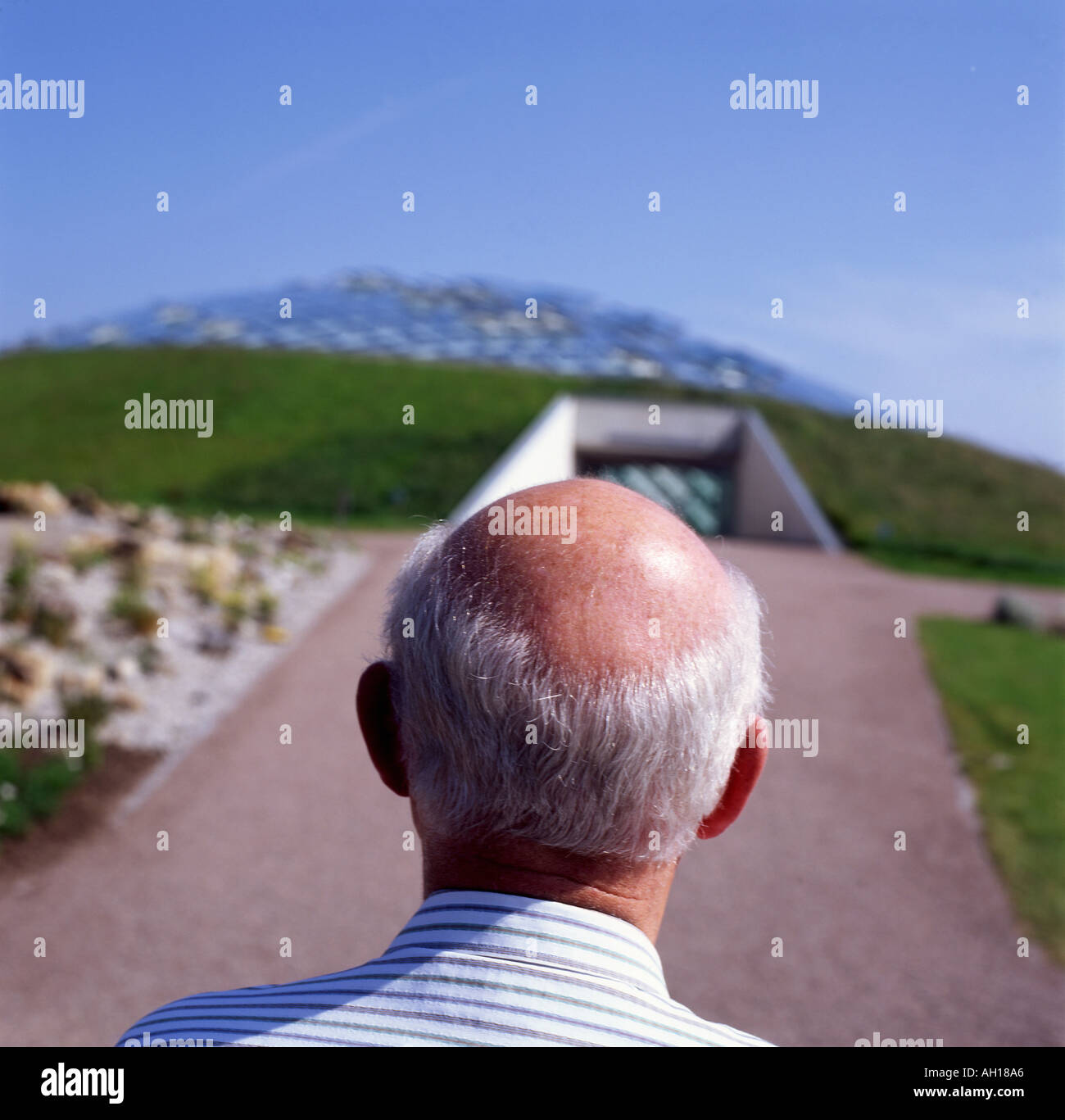 Faceless bald man looking at the Great Glass House, National Botanic ...