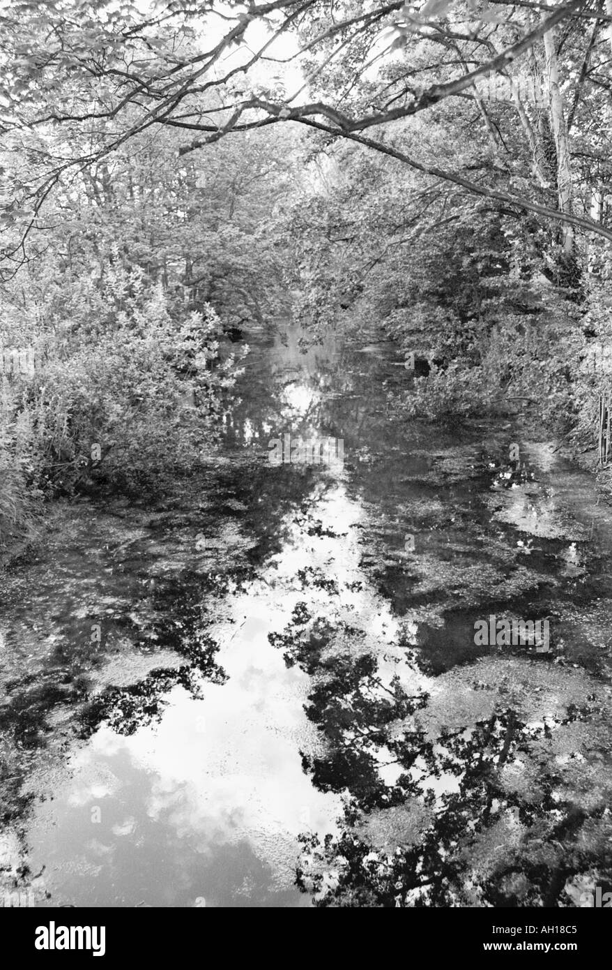 River Cherwell in Oxford Stock Photo - Alamy