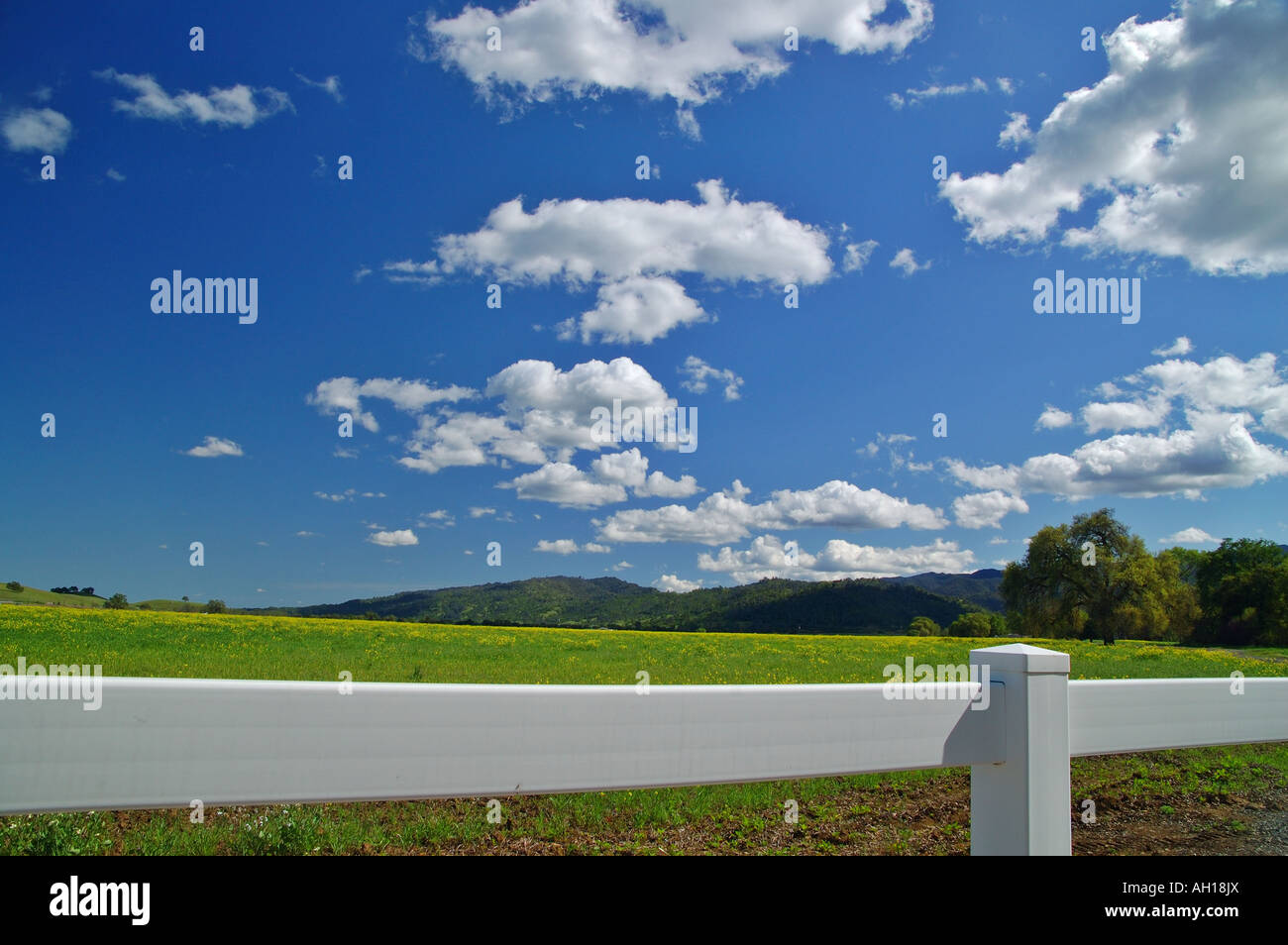 Spring Field and fence Stock Photo - Alamy