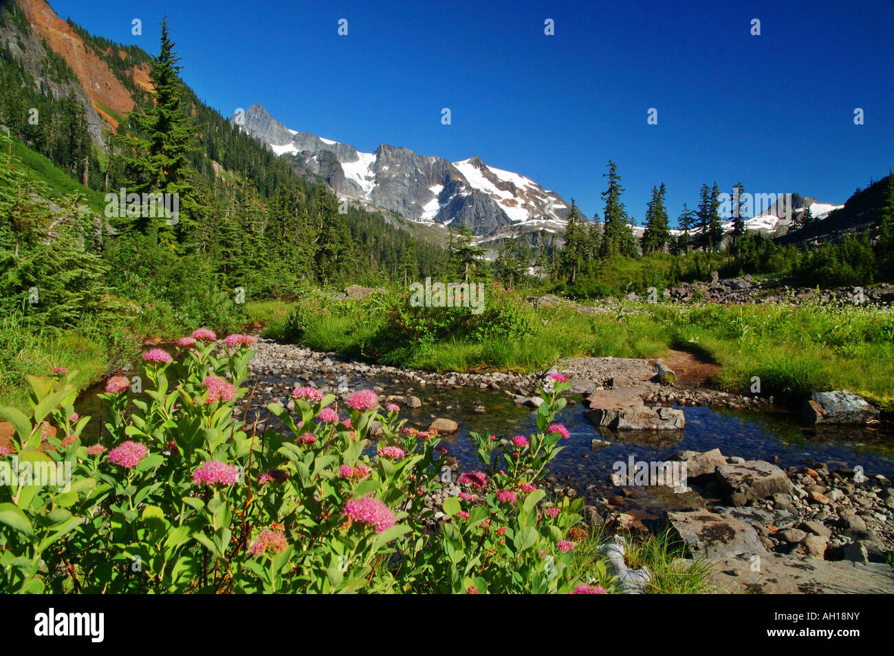 Mountain stream in the North Cascades of Washington State Stock Photo ...
