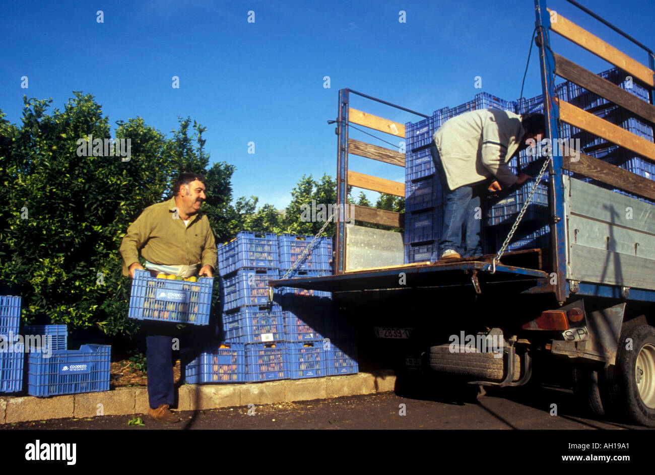 Loading lorry fruit hi-res stock photography and images - Alamy