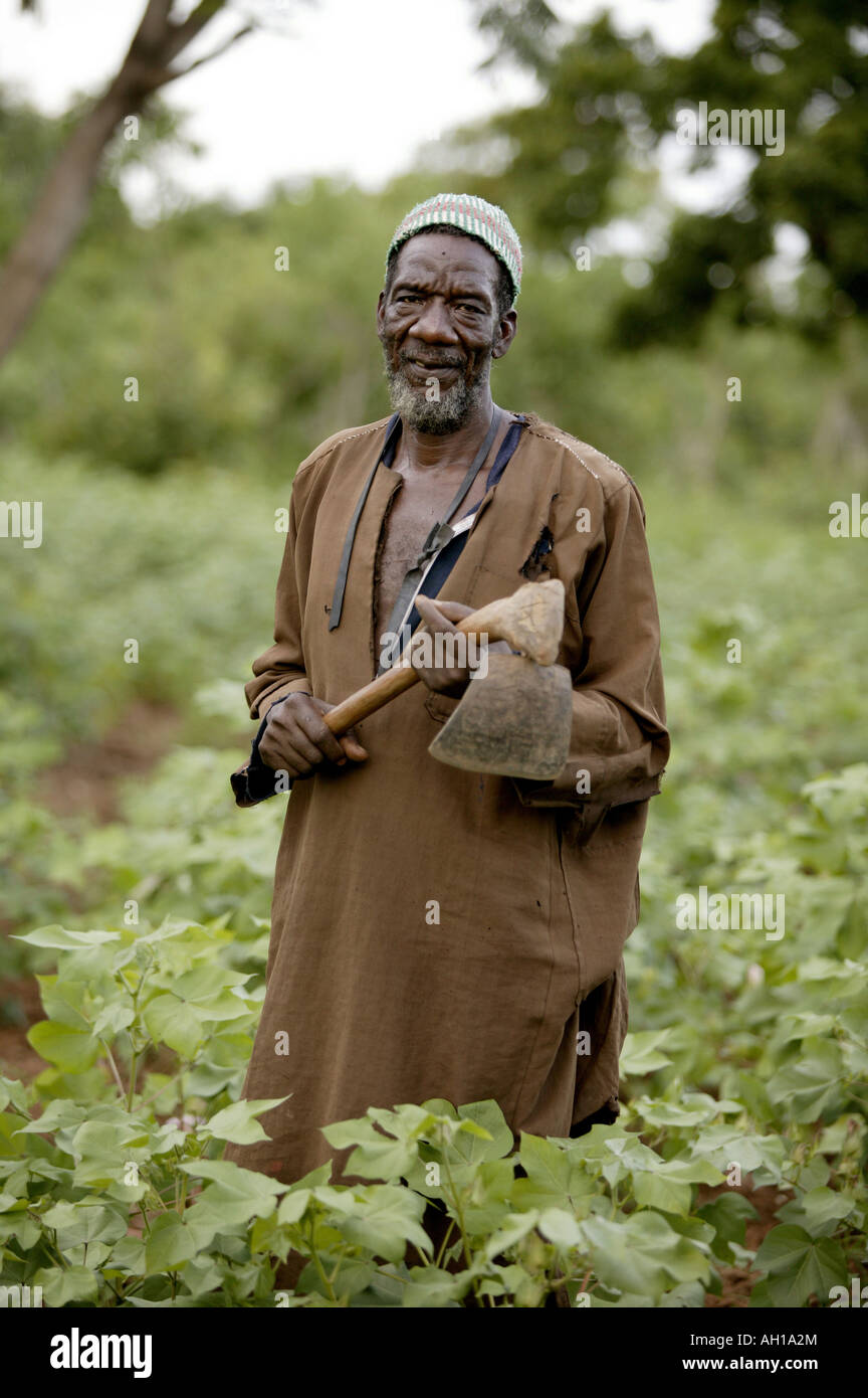 Cotton field worker hi-res stock photography and images - Alamy