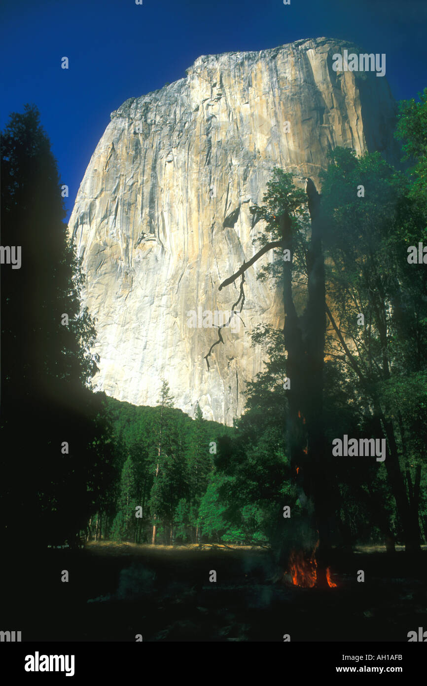Yosemite National Park El Capitan rockface with managed forest fire ...