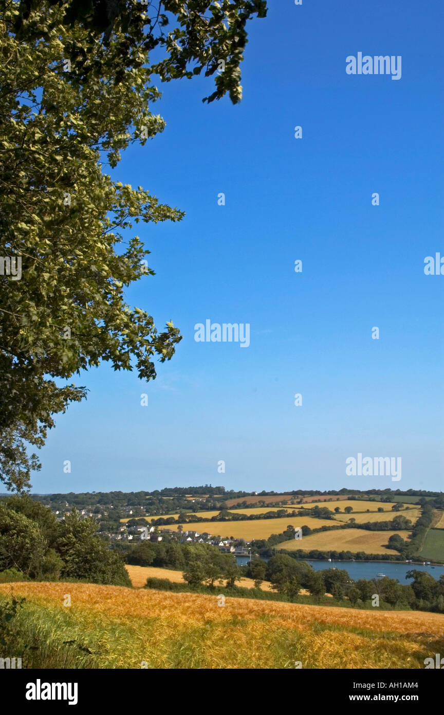 golden landscape near mylor bridge in cornwall,england Stock Photo - Alamy
