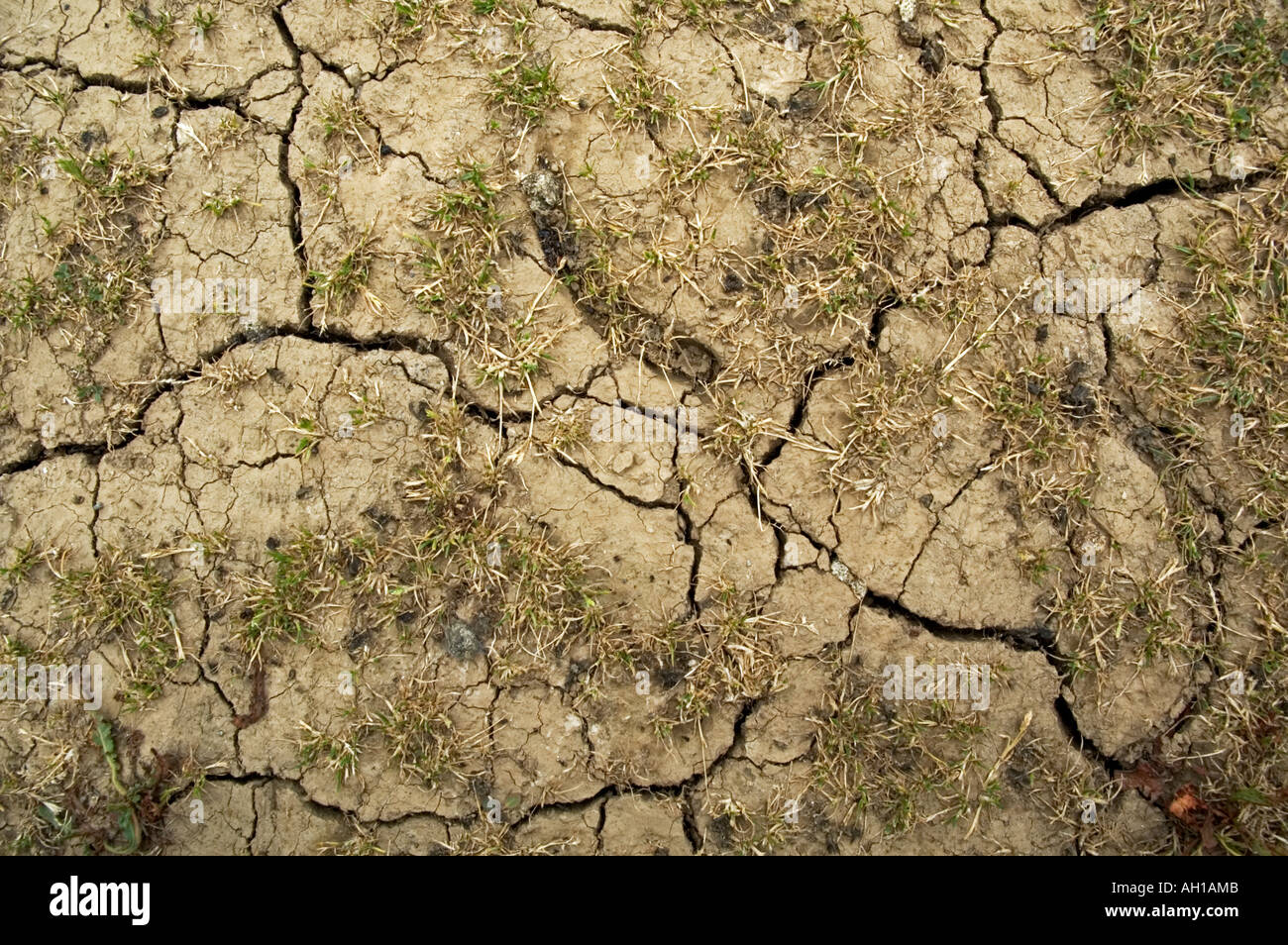 Scorched earth hi-res stock photography and images - Alamy