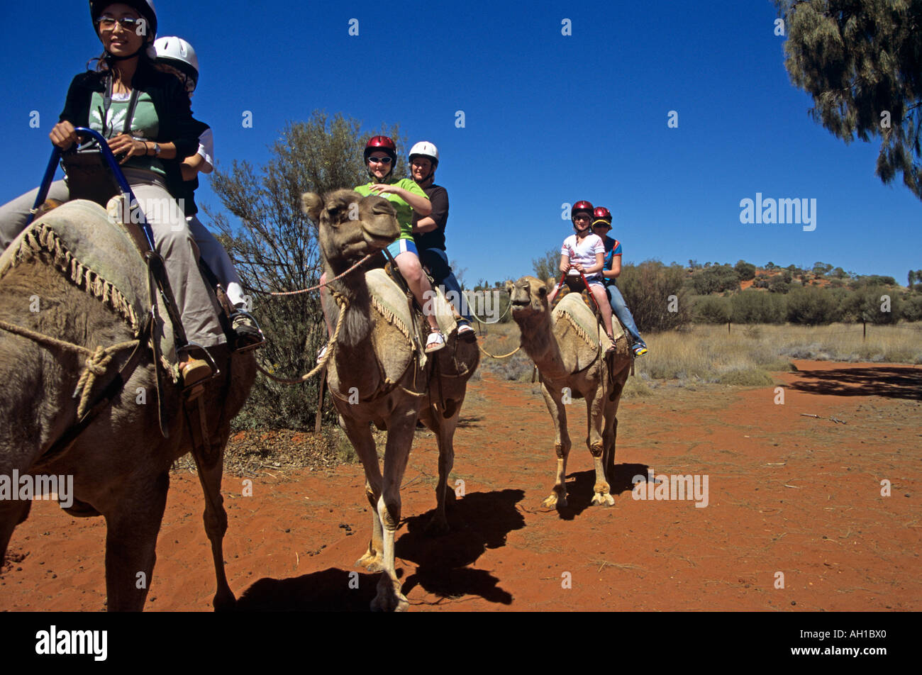 Camel train and riders, Kata Tjuta National Park, Northern Territory ...