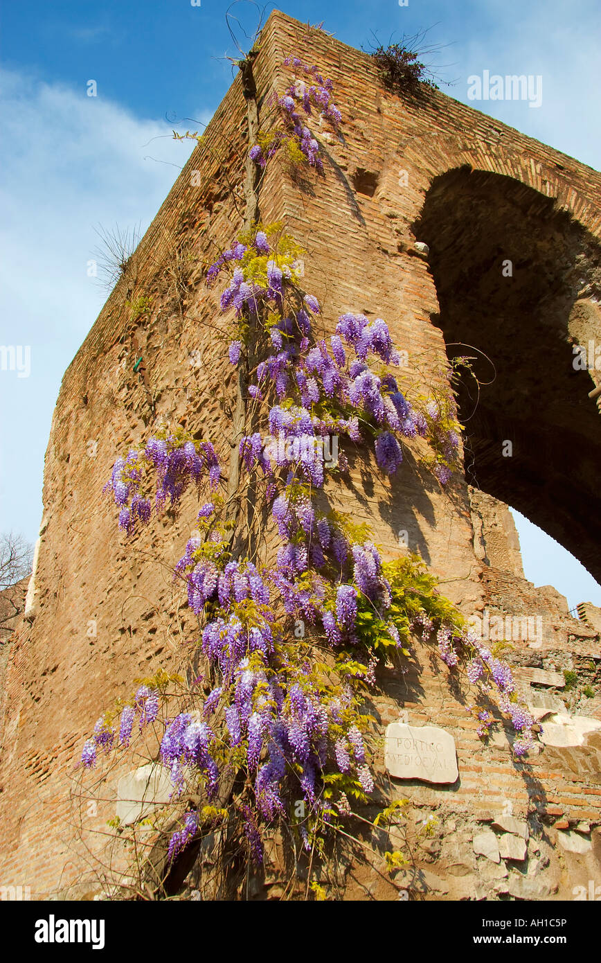 Rome Italy Ruins Brick Work Overgrown With Wild Flowers Stock Photo - Alamy