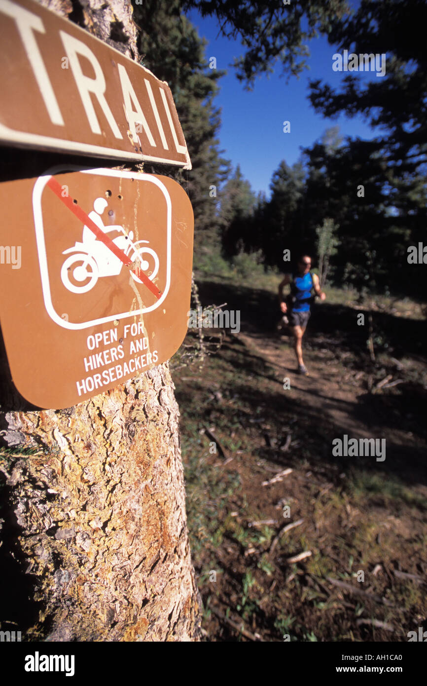 Male trail running on forested trail Stock Photo - Alamy