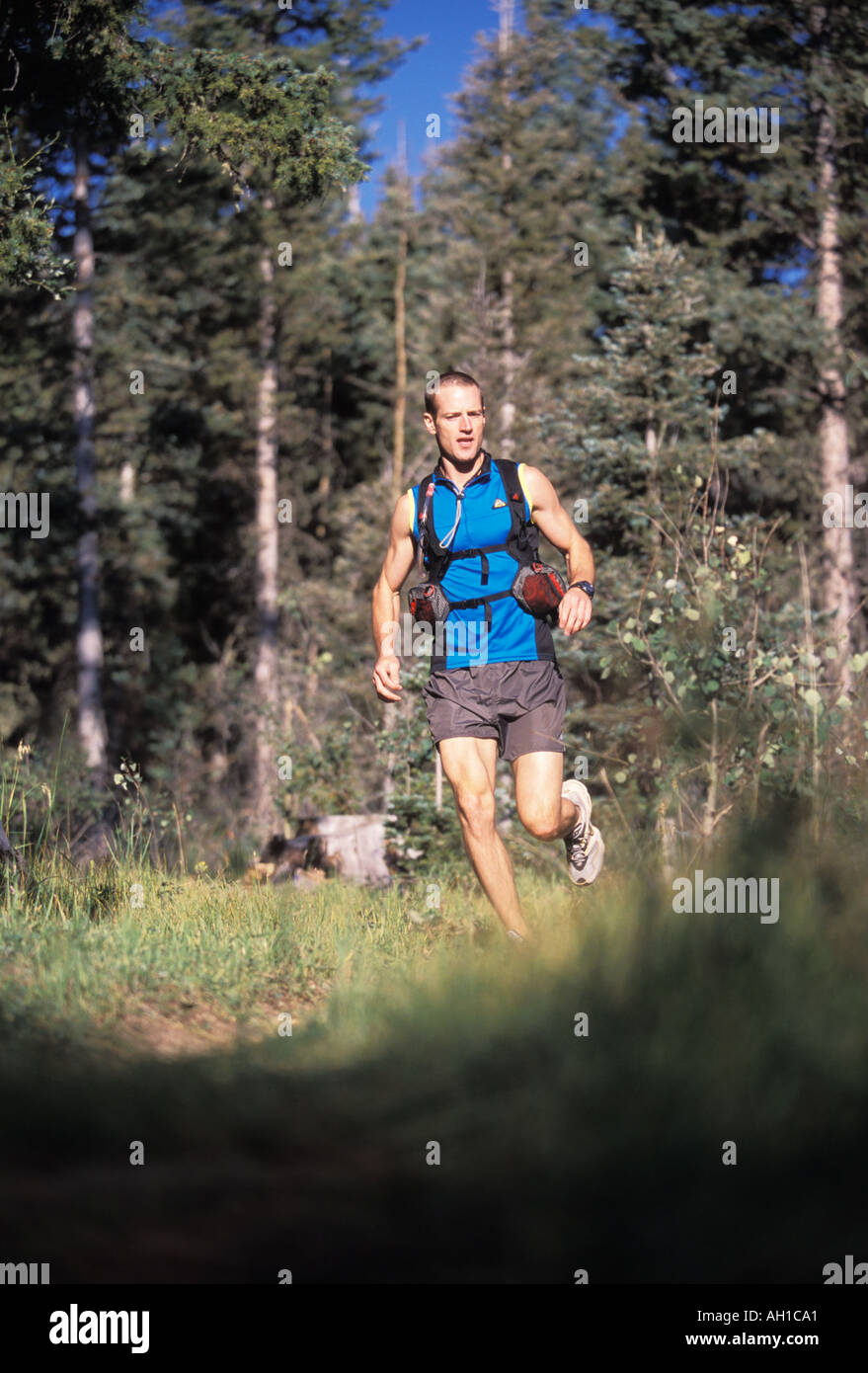 Male trail running on forested trail Stock Photo - Alamy