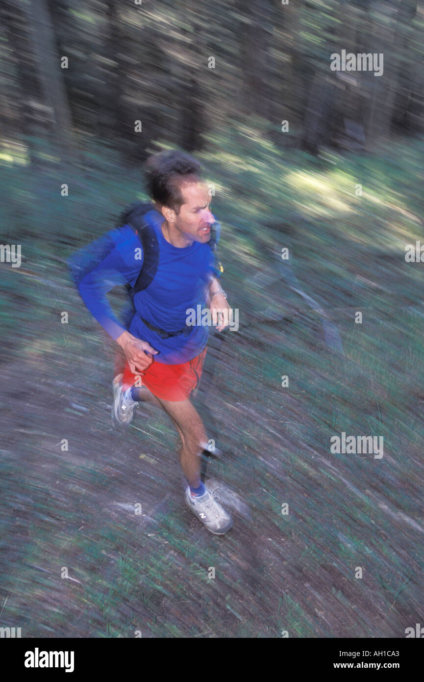 Male trail running on forested trail Stock Photo - Alamy