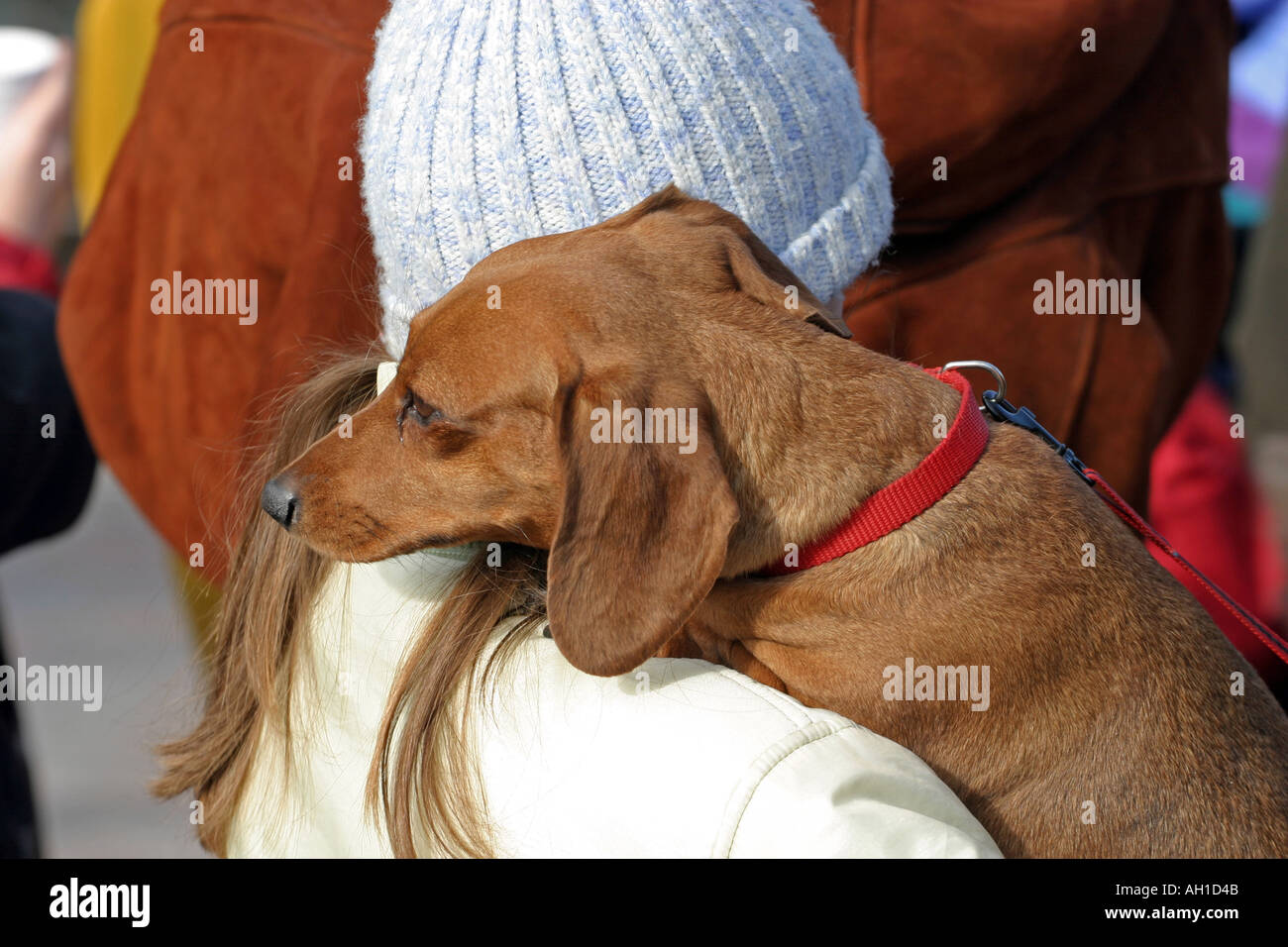 Shoulder perch hi-res stock photography and images - Alamy