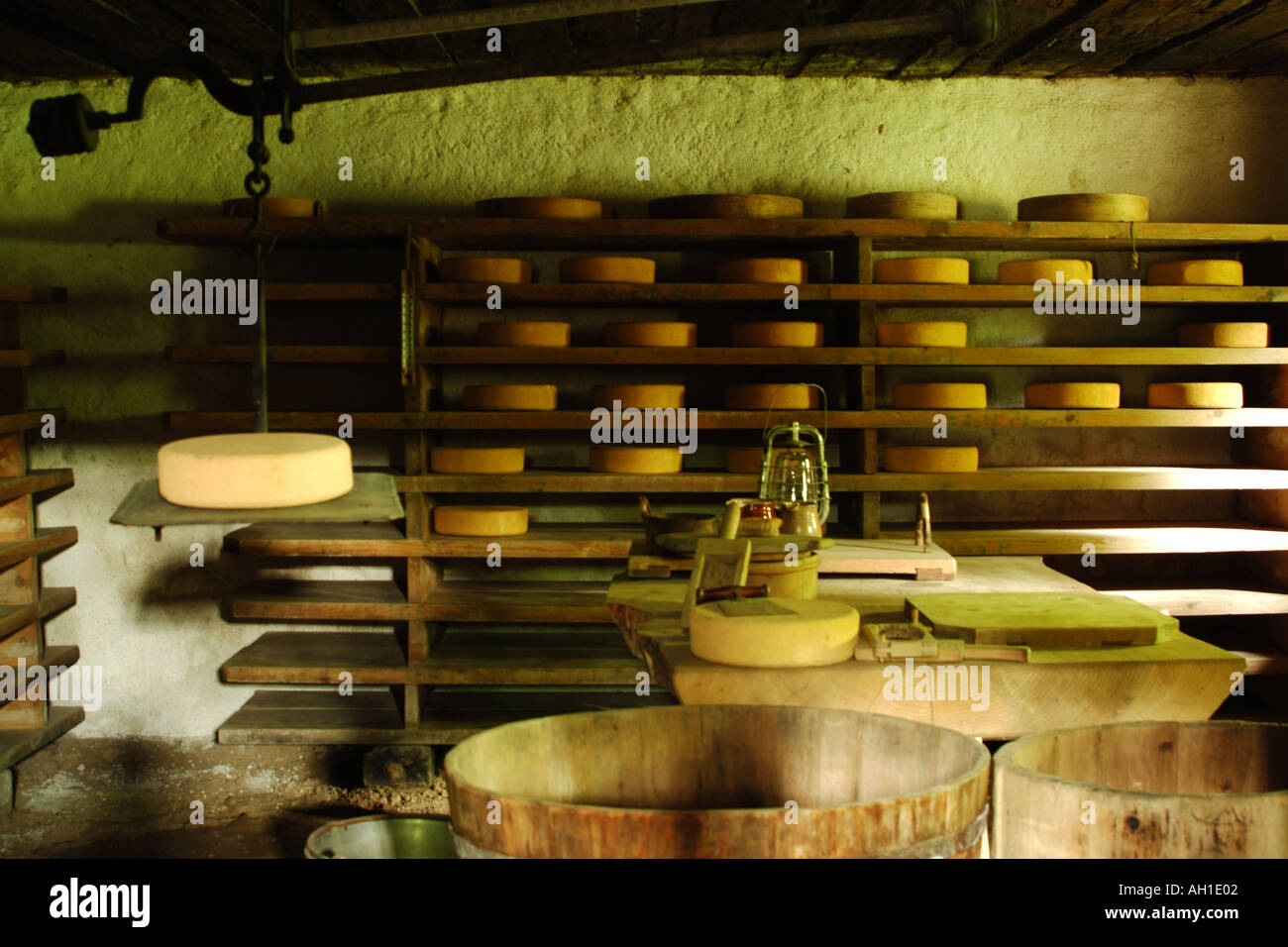 Cheese curing in a basement in Ballenberg Stock Photo - Alamy