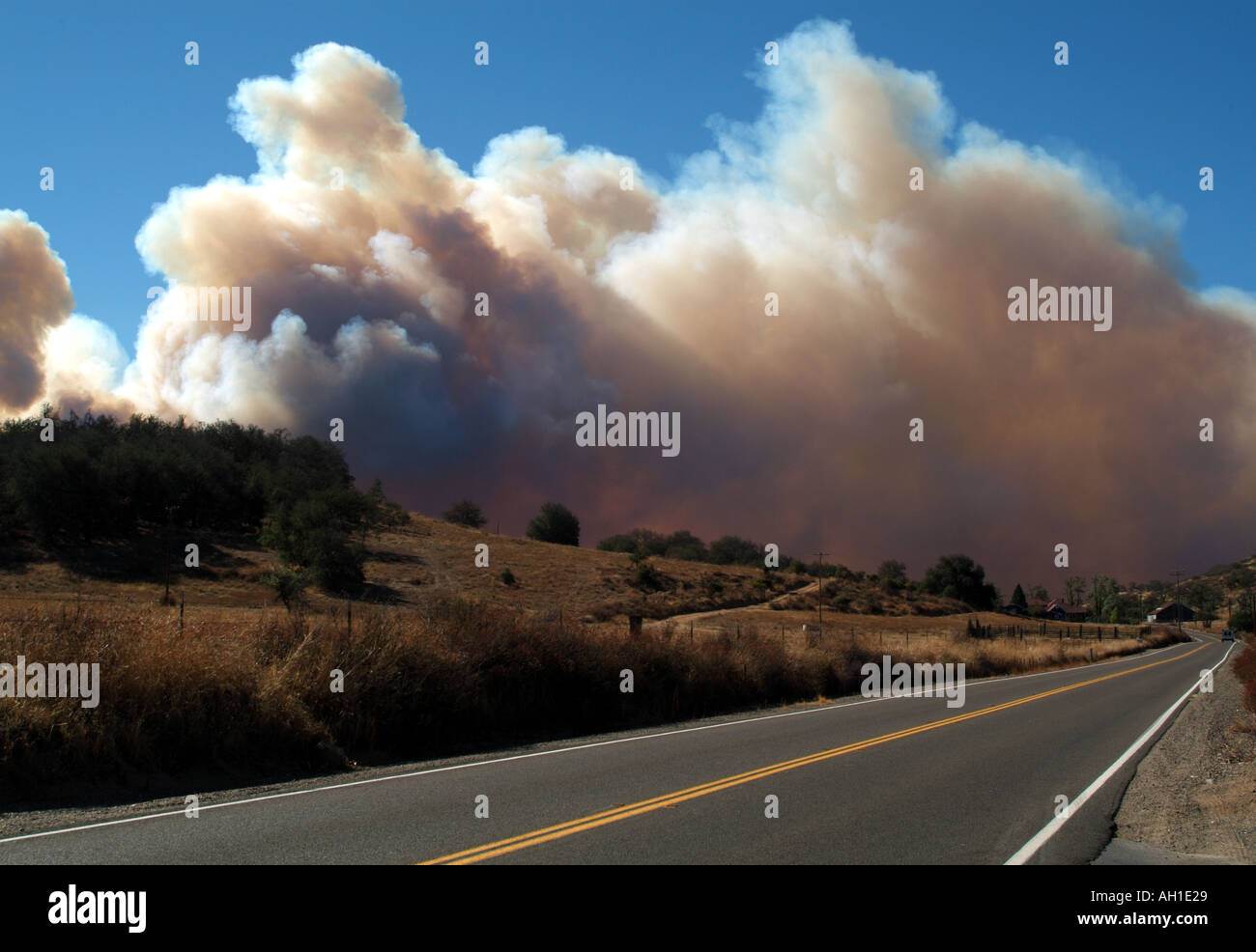 Cedar Fire Out of Control Stock Photo - Alamy