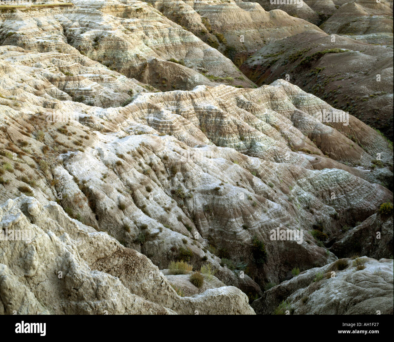 Badlands national park and fossils hi-res stock photography and images ...