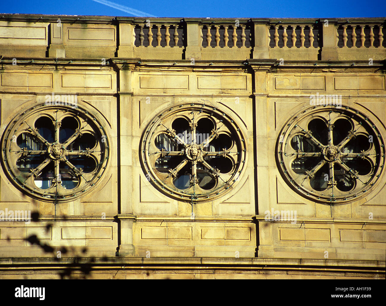 Rose watts hi-res stock photography and images - Alamy