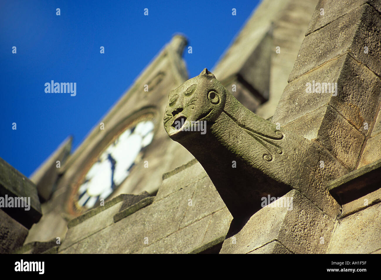 Gargoyle at Holy Trinity Littleborough Parish Church Stock Photo - Alamy