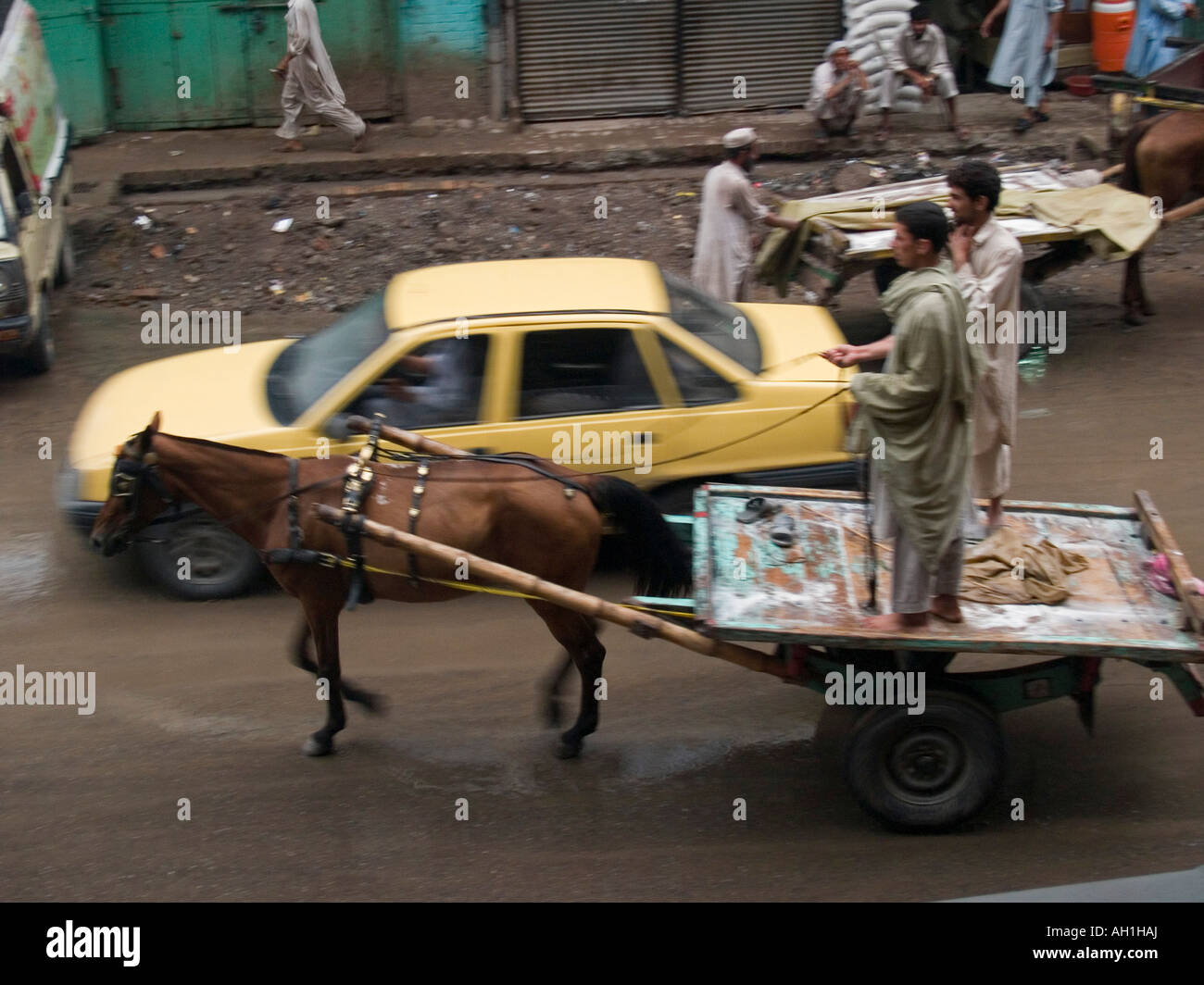 Cart horse pakistan hi-res stock photography and images - Alamy