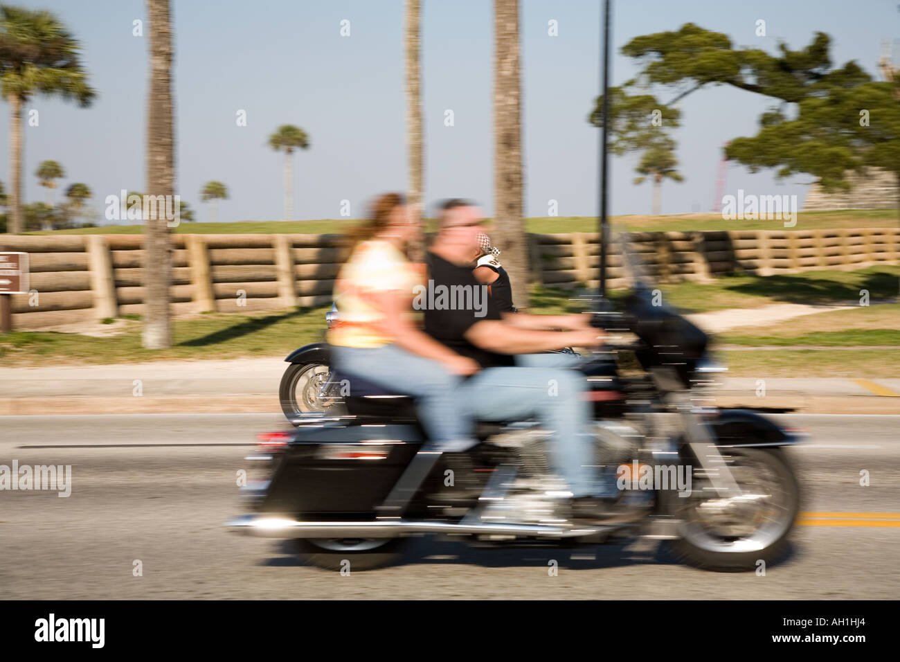 Spirit riding free hi-res stock photography and images - Alamy