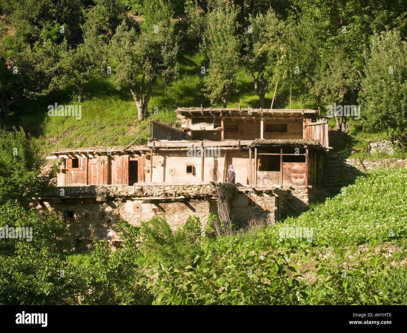 traditional Kalasha home in the Bumburet Valley of Pakistan surrounded ...