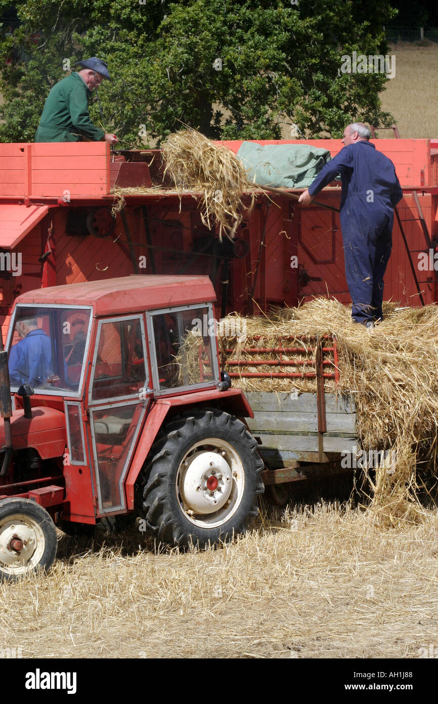 Two farm hands loading hay into a baling machine Stock Photo - Alamy