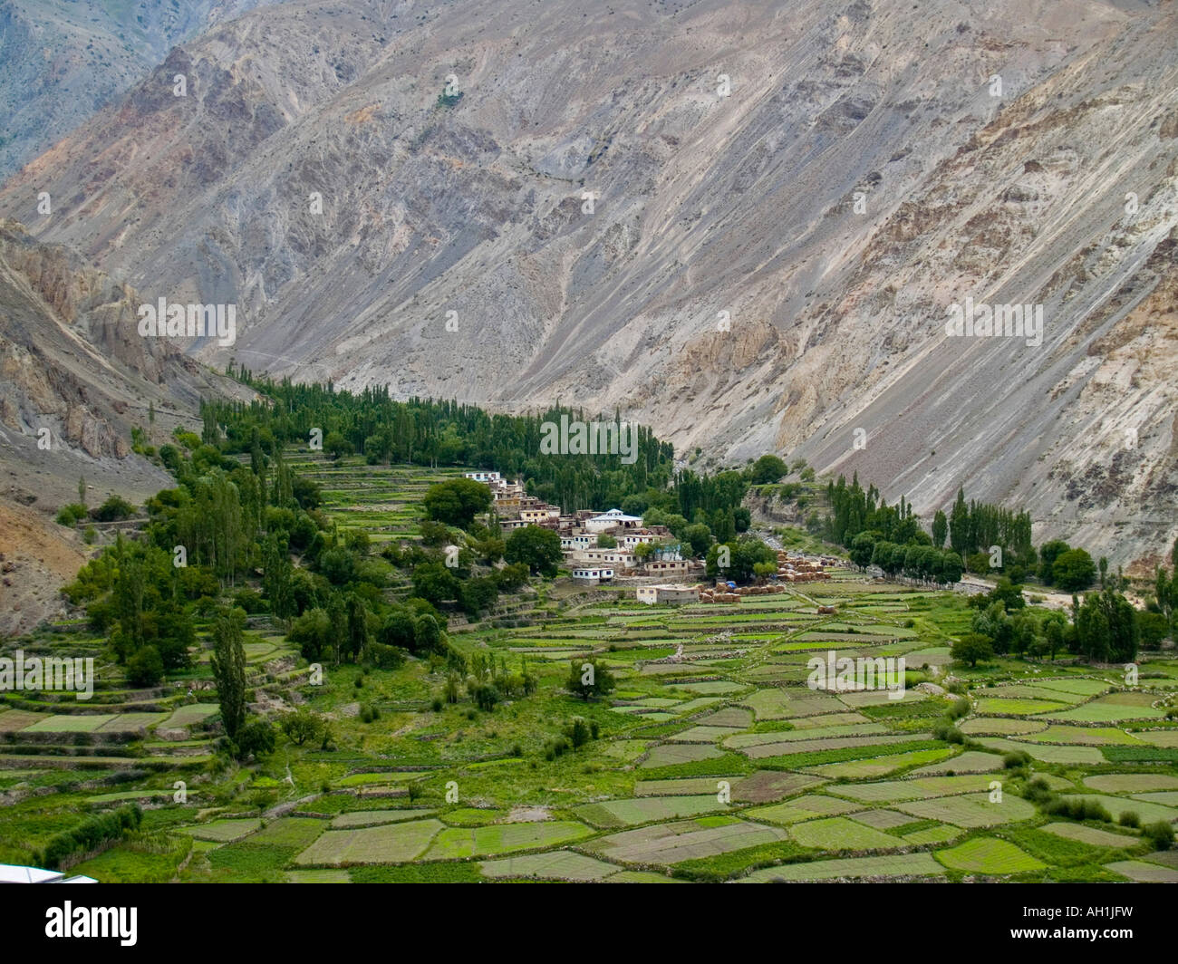 Satpara village and terraced fields just outside of the Deosai Plains ...