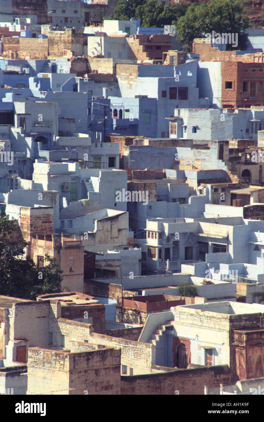 Blue painted houses dwellings in Jodhpur city Western Rajasthan India ...