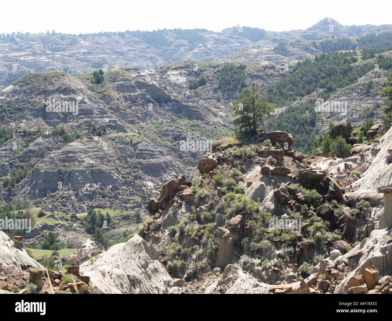 Environment boondocks boonies hi-res stock photography and images - Alamy