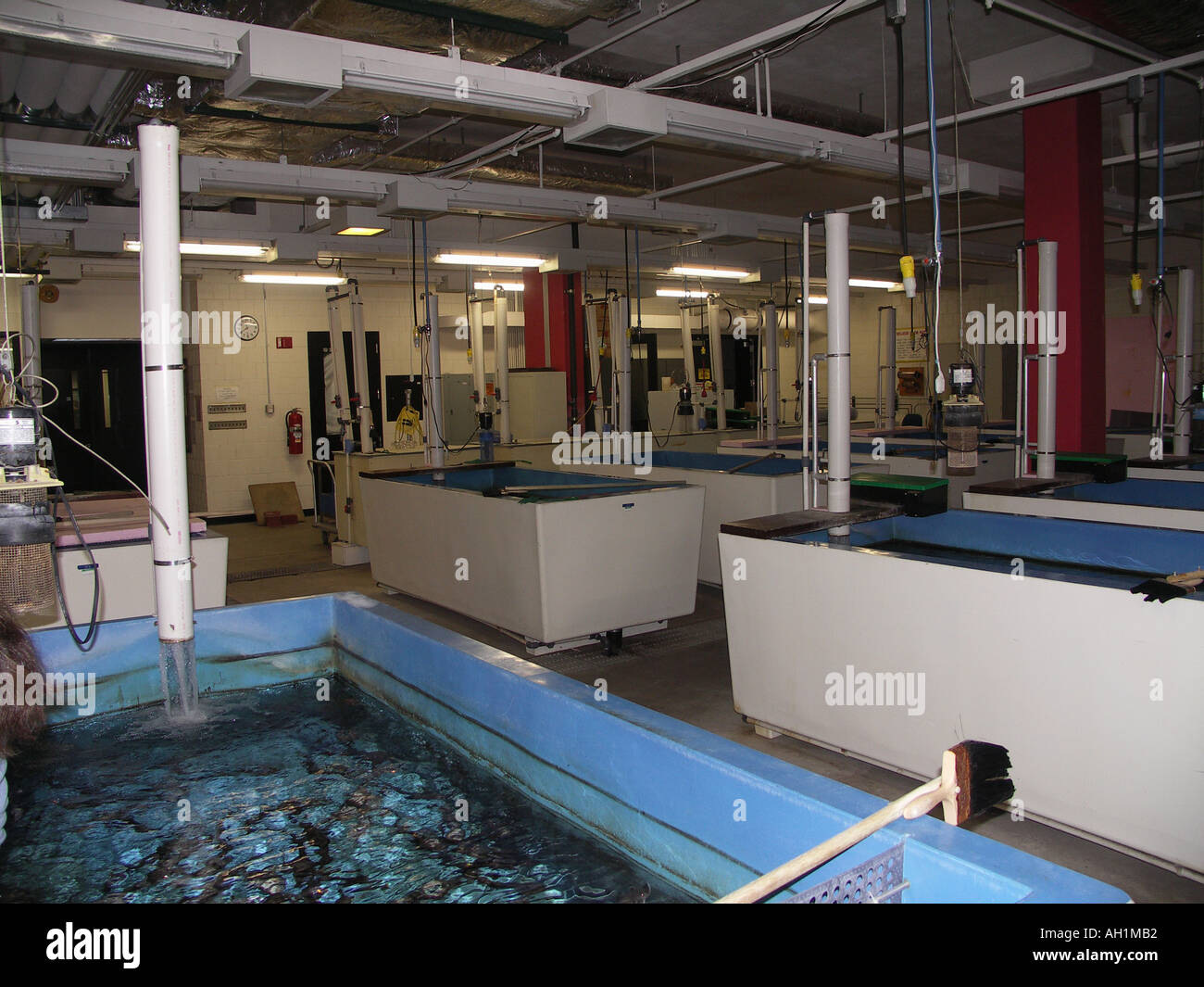 Environmental Center Fish Tanks Stock Photo - Alamy