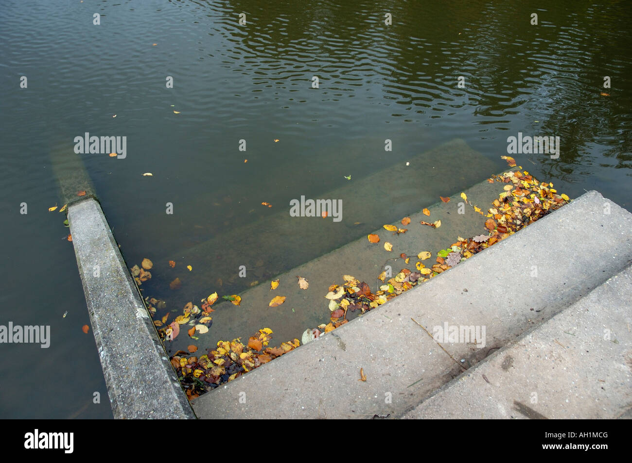 Stairs leading into the water of a lake Stock Photo - Alamy