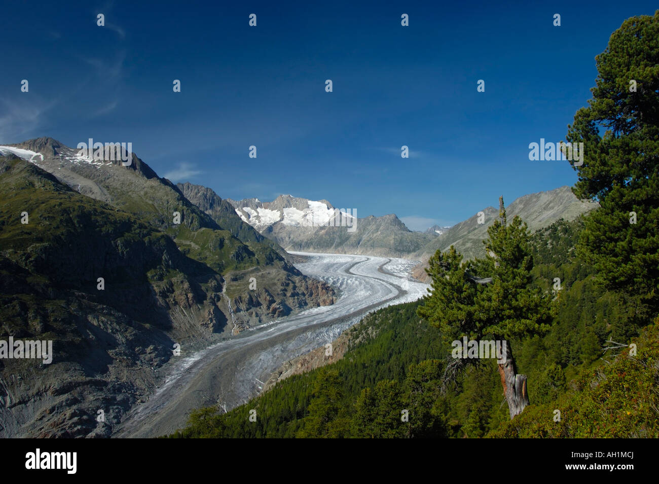 Aletsch Glacier, part of UNESCO World Heritage Site Jungfrau-Aletsch ...