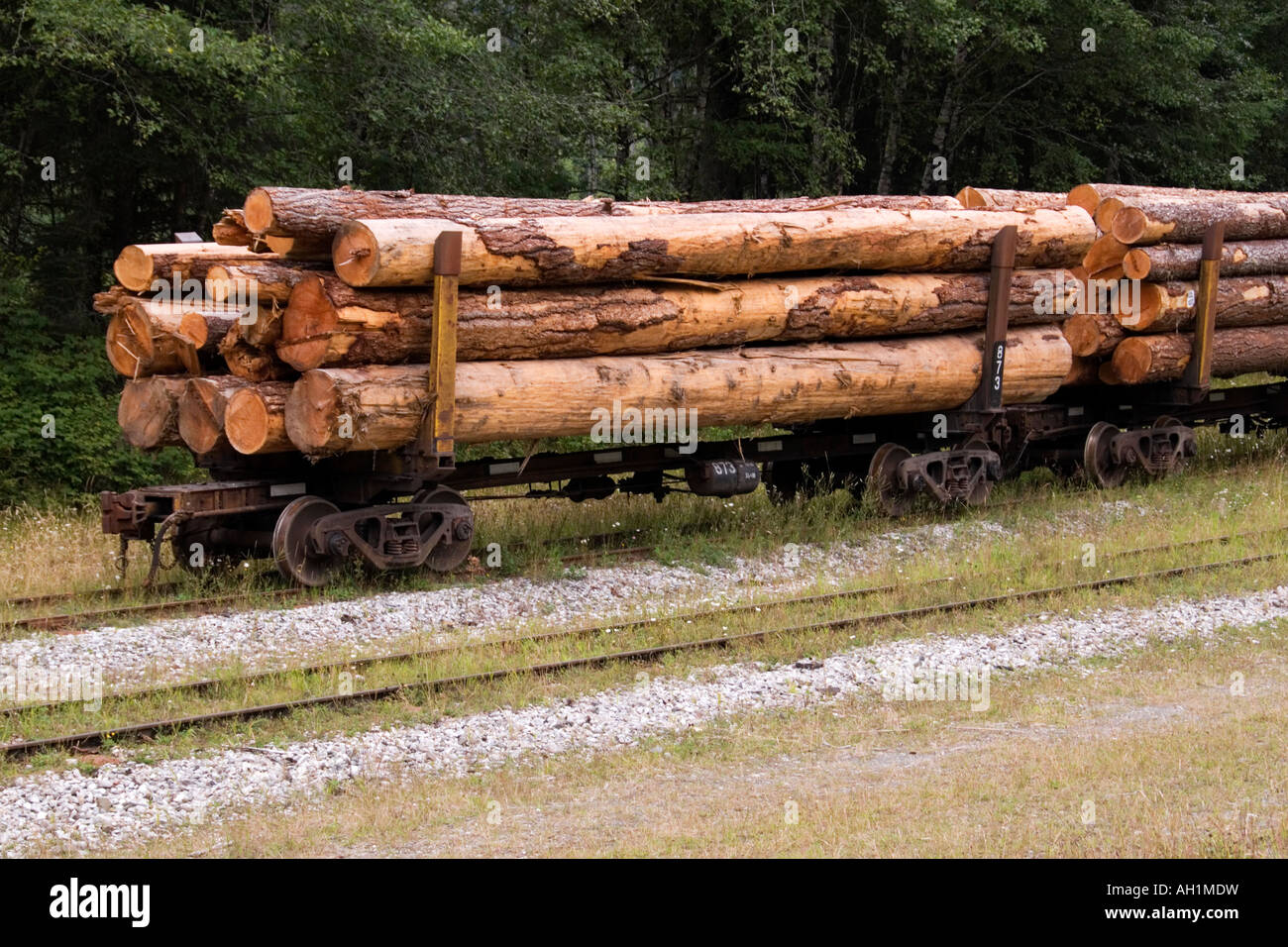 Log train hi-res stock photography and images - Alamy