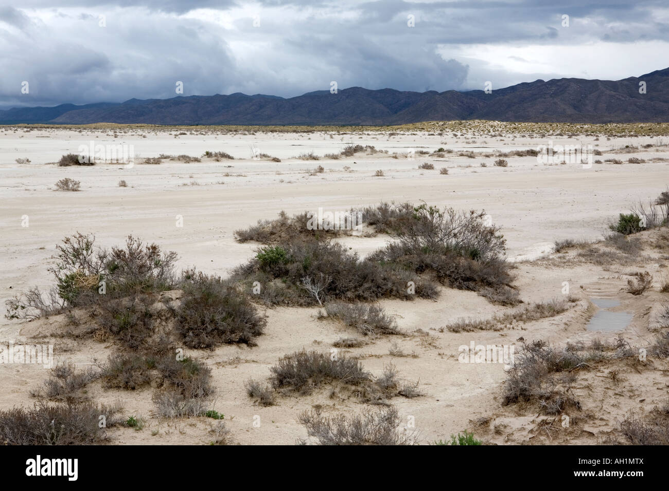 West texas salt flats hi-res stock photography and images - Alamy