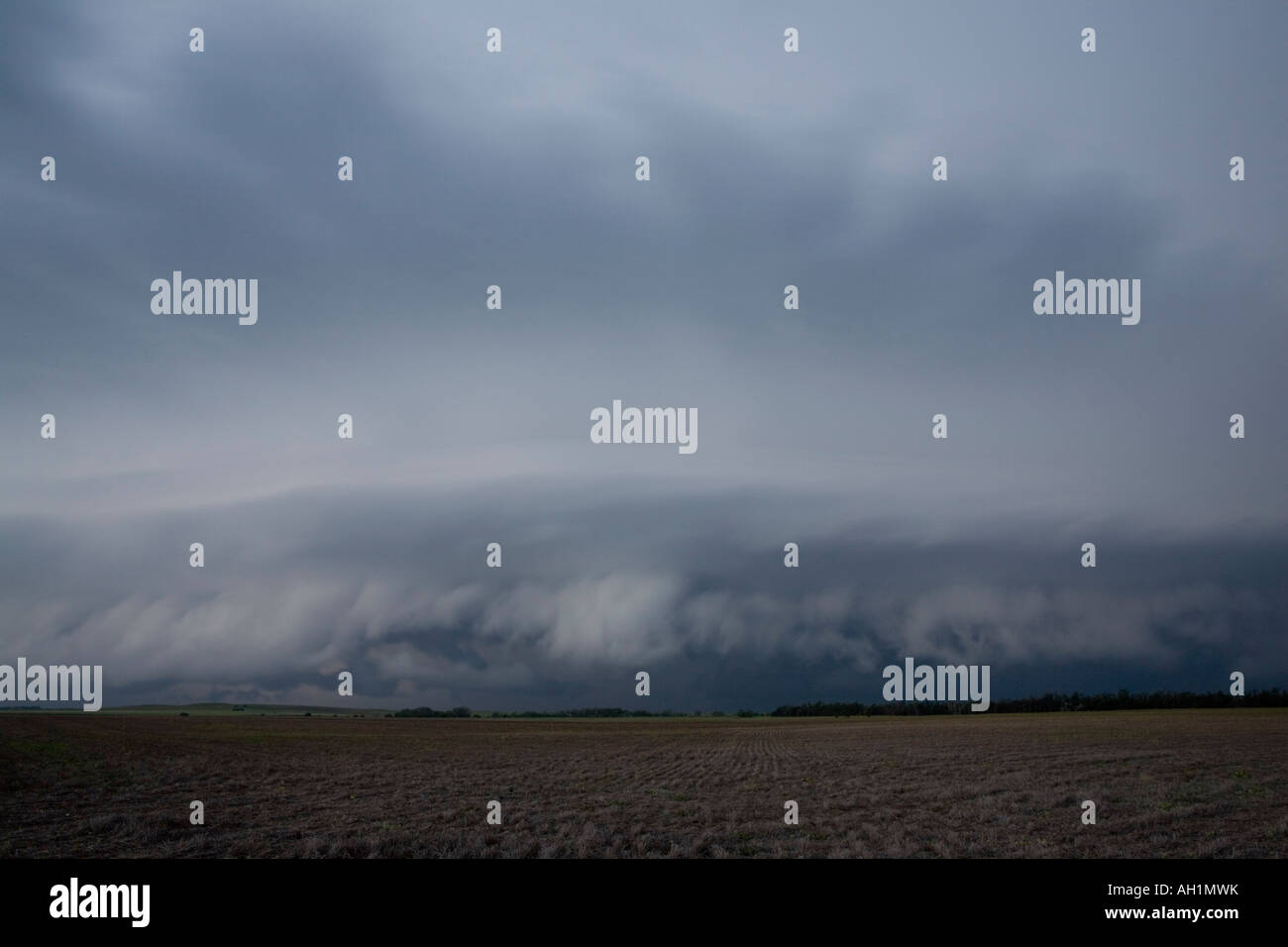 Supercell structure hi-res stock photography and images - Alamy